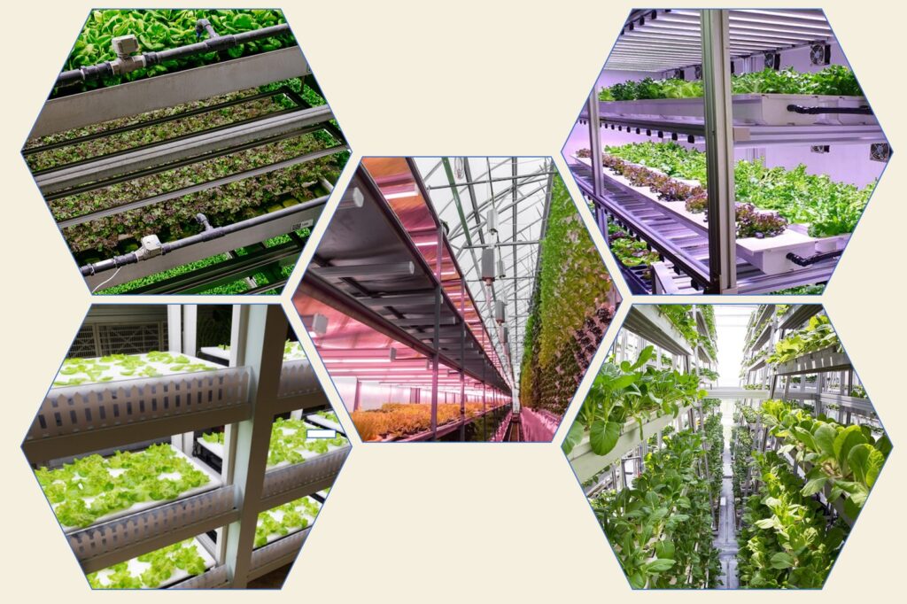 SMART VERTICAL FARMING – ssf-agtech
